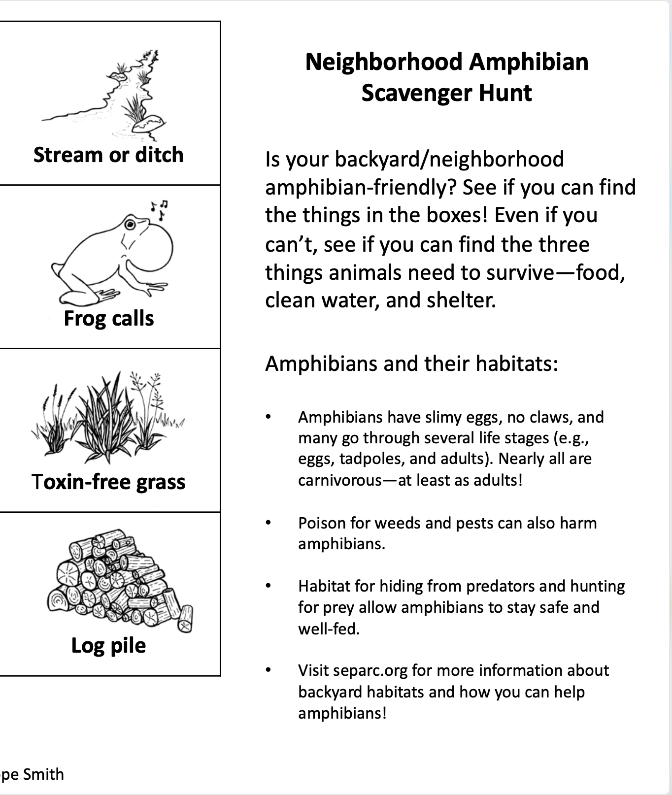 Neighborhood Amphibian Scavenger Hunt — SEPARC